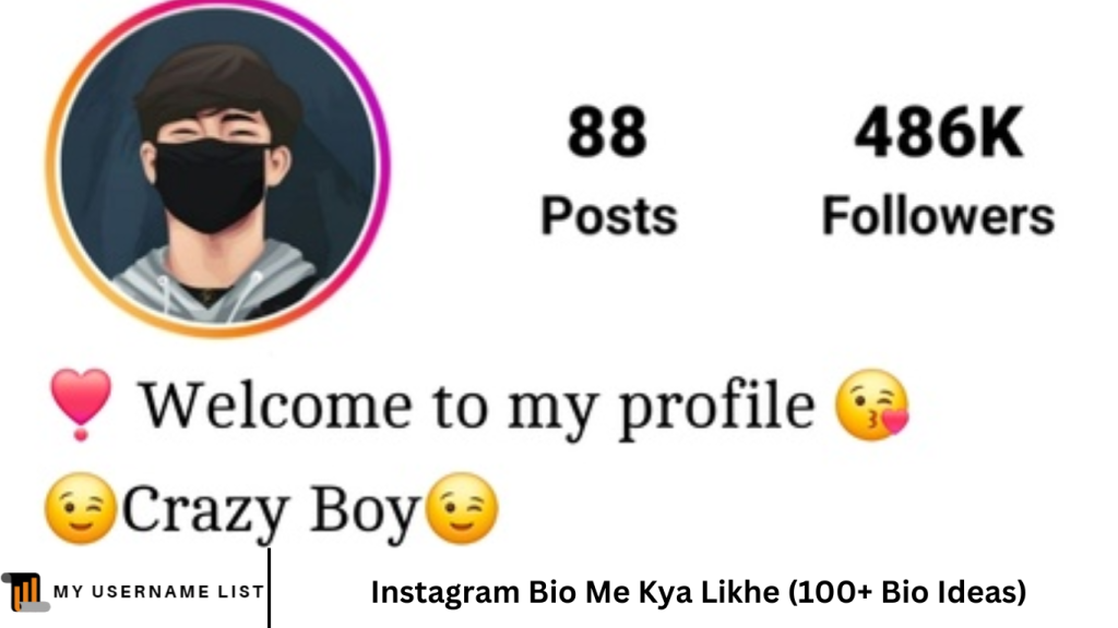 Instagram Bio Me Kya Likhe (100+ Bio Ideas) - My Username List